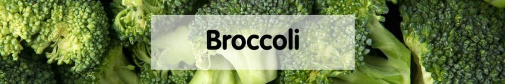 What’s in Season for May | Spring Seasonal Produce