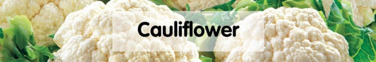 What’s in Season for May | Spring Seasonal Produce