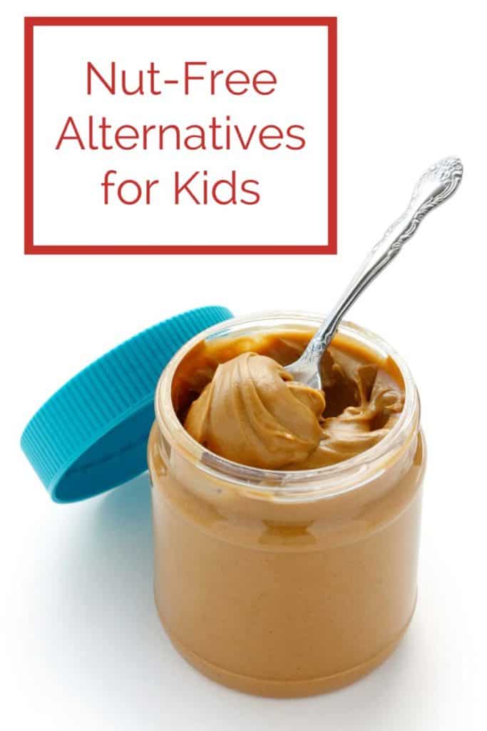 Nut Free Alternatives for Kids - Healthy Family Project