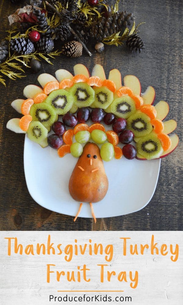 Thanksgiving Turkey Fruit Tray | Healthy Family Project