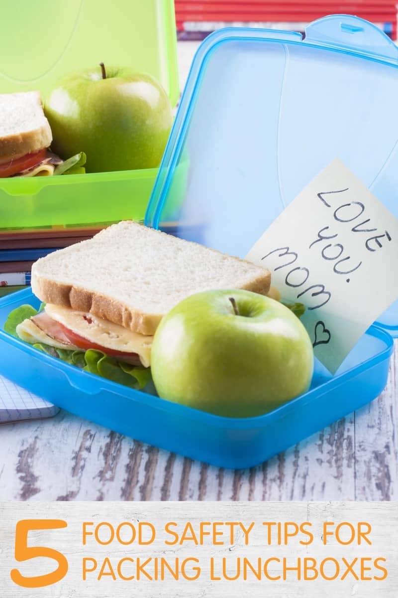 5 Food Safety Tips for Packing Lunchboxes - Healthy Family Project