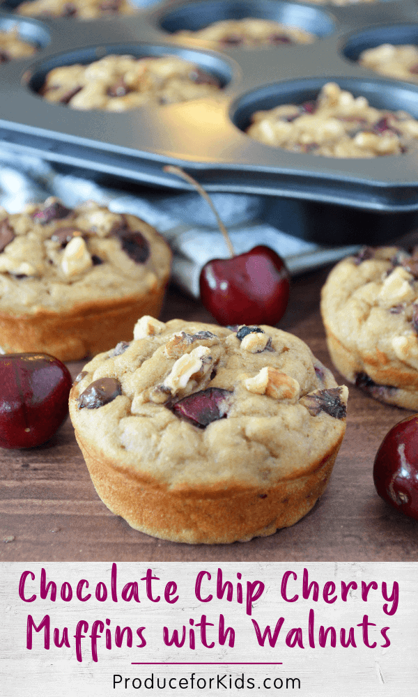 Chocolate Chip Cherry Muffins With Walnuts Healthy Family Project