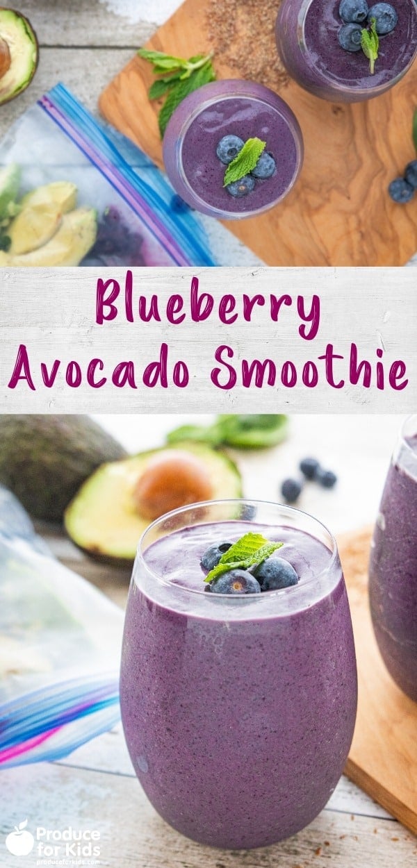 Blueberry Avocado Smoothie - Healthy Family Project
