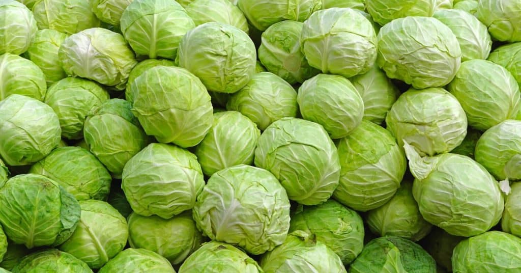 16 Long-Lasting Fruits & Vegetables | Produce for Kids