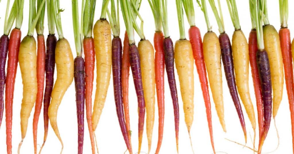 16 Long-Lasting Fruits & Vegetables | Produce for Kids
