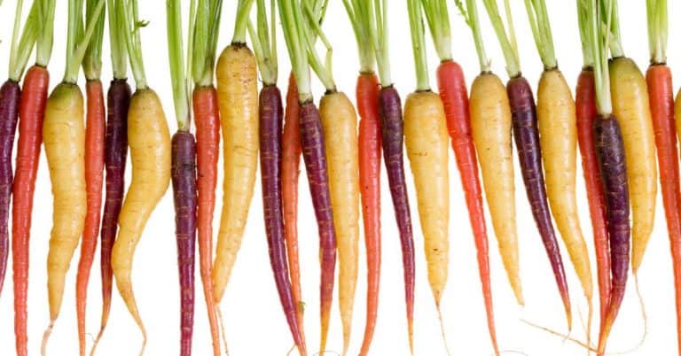 16 Long-Lasting Fruits & Vegetables | Produce for Kids