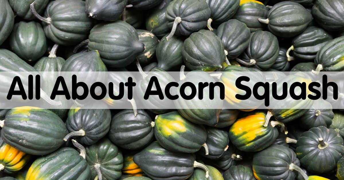 All About Acorn Squash - How to Pick, Prepare & Store | Healthy Family ...