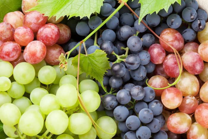 What’s in Season for September | Fall Produce | Healthy Family Project