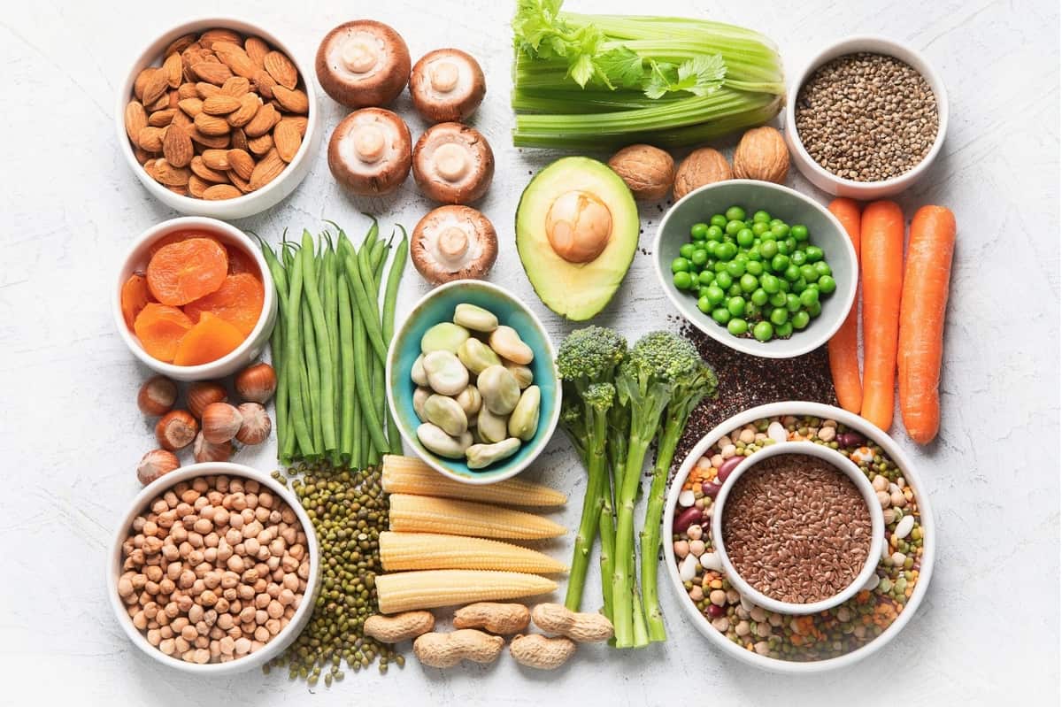 Food Rx: All About Plant-Based Diets | Produce for Kids